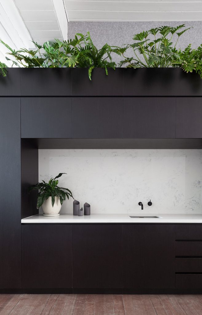 Gallery of Richmond Office by Tom Robertson Architects | TLP