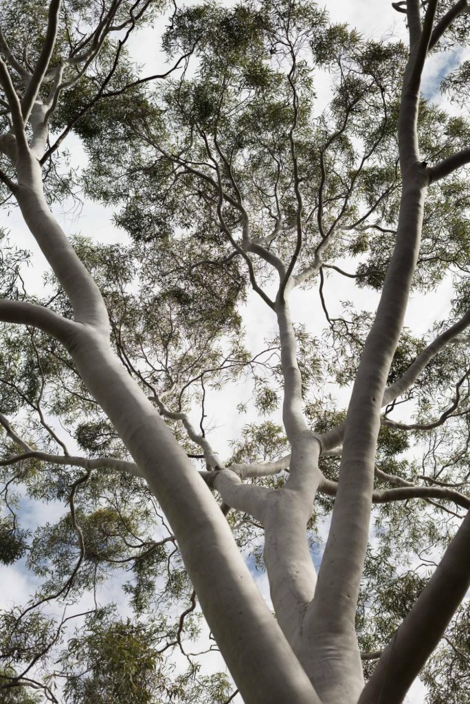 Redfern Oasis by Amber Road | Interior Archive | Sydney, NSW, Australia