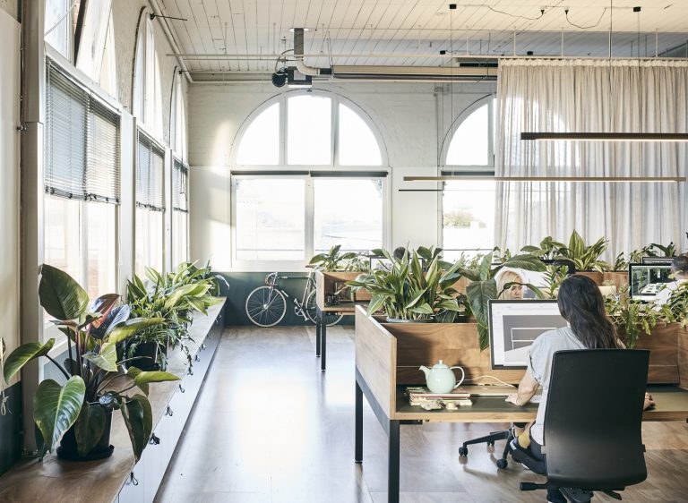 Profiles - The Local Project