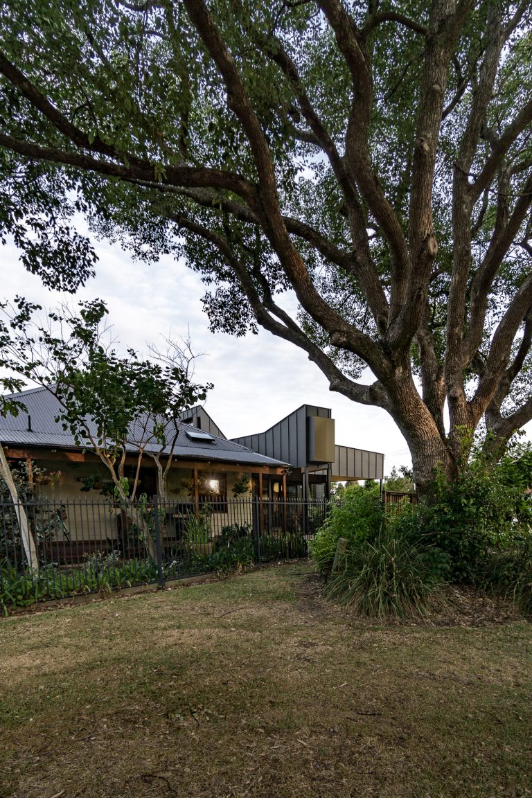 Gallery of Islington Park Addition by Curious Practice / The Local Project