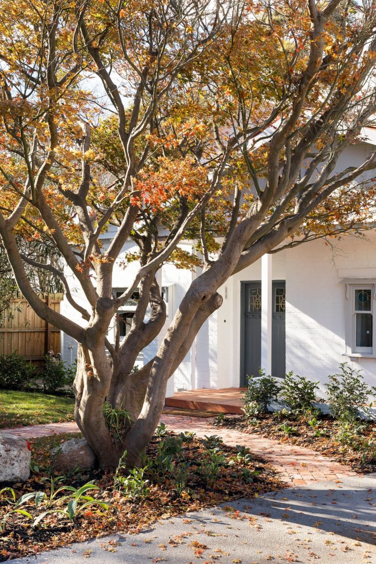 The Alpha House by BuildHer Collective - Project Feature - Alphington, VIC