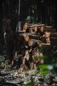 Ross Thompson Furniture - Local Handcrafted Furniture - Article - Geelong