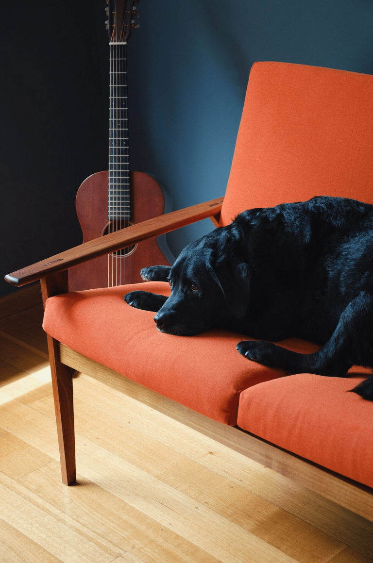 Ross Thompson Furniture - Local Handcrafted Furniture - Article - Geelong