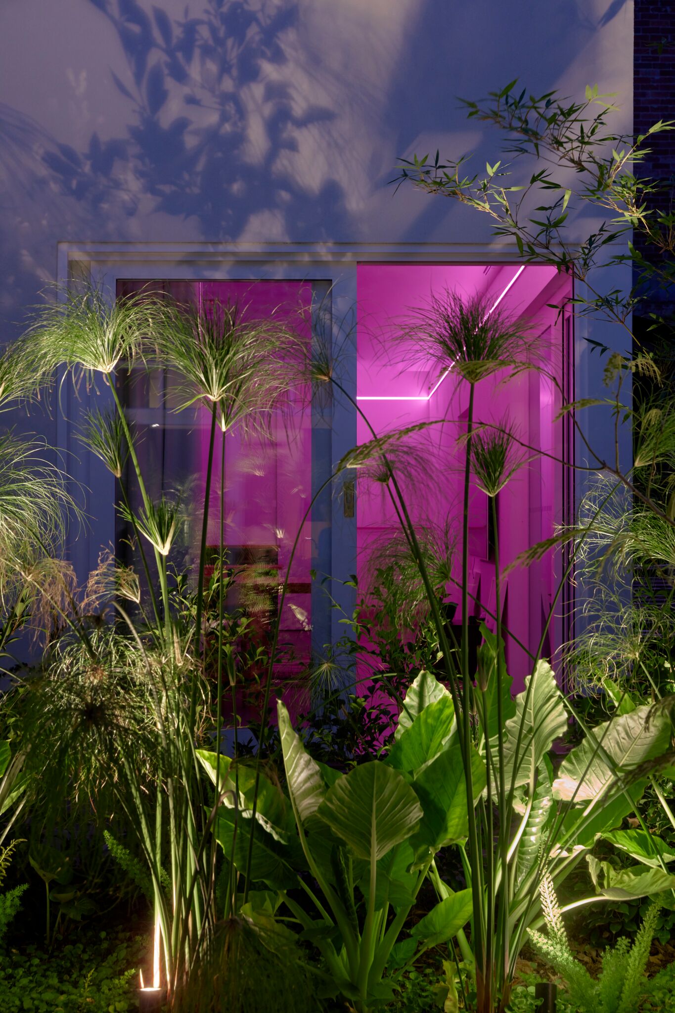 Rose Street Residence by Fieldwork Architects - A Practical Historical Home