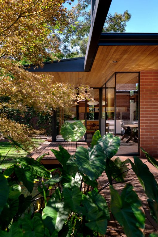 Torrens Park Renovation by Urban Habitats - Project Gallery