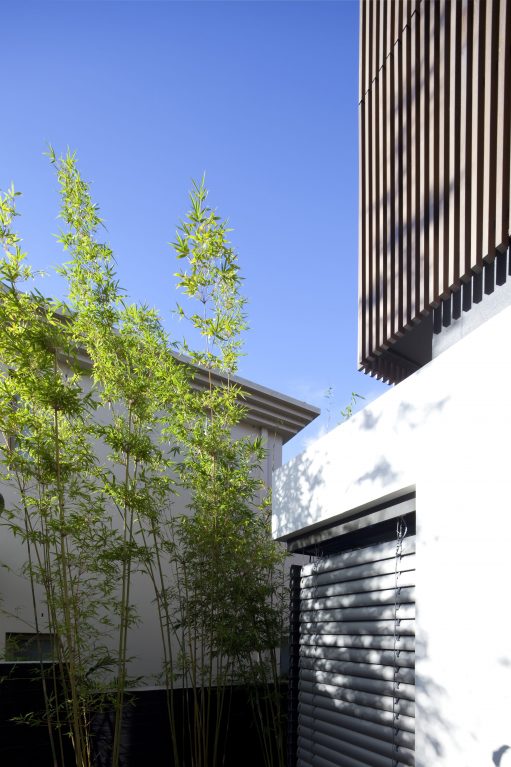 Butterfly House by Stafford Architecture - Project Gallery - The Local ...