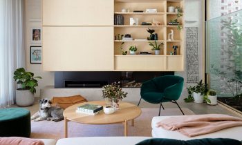 Gable House by Robert Plumb Build & Potter & Wilson - Sydney Architecture