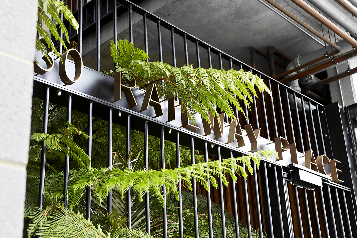 Nightingale 2 by Six Degrees Architects and HIP V. HYPE - The Fisher ...