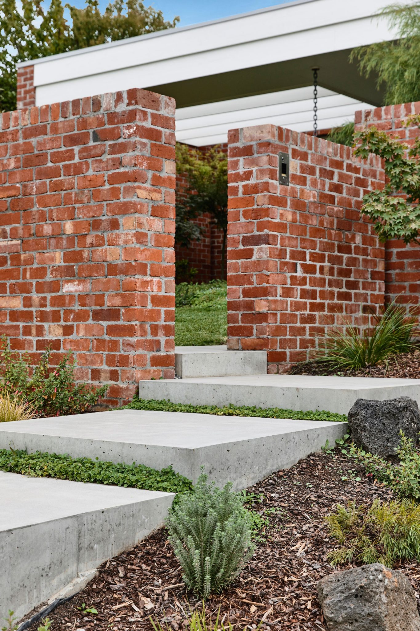 InForm | Design & Construct Profile | The Local Project