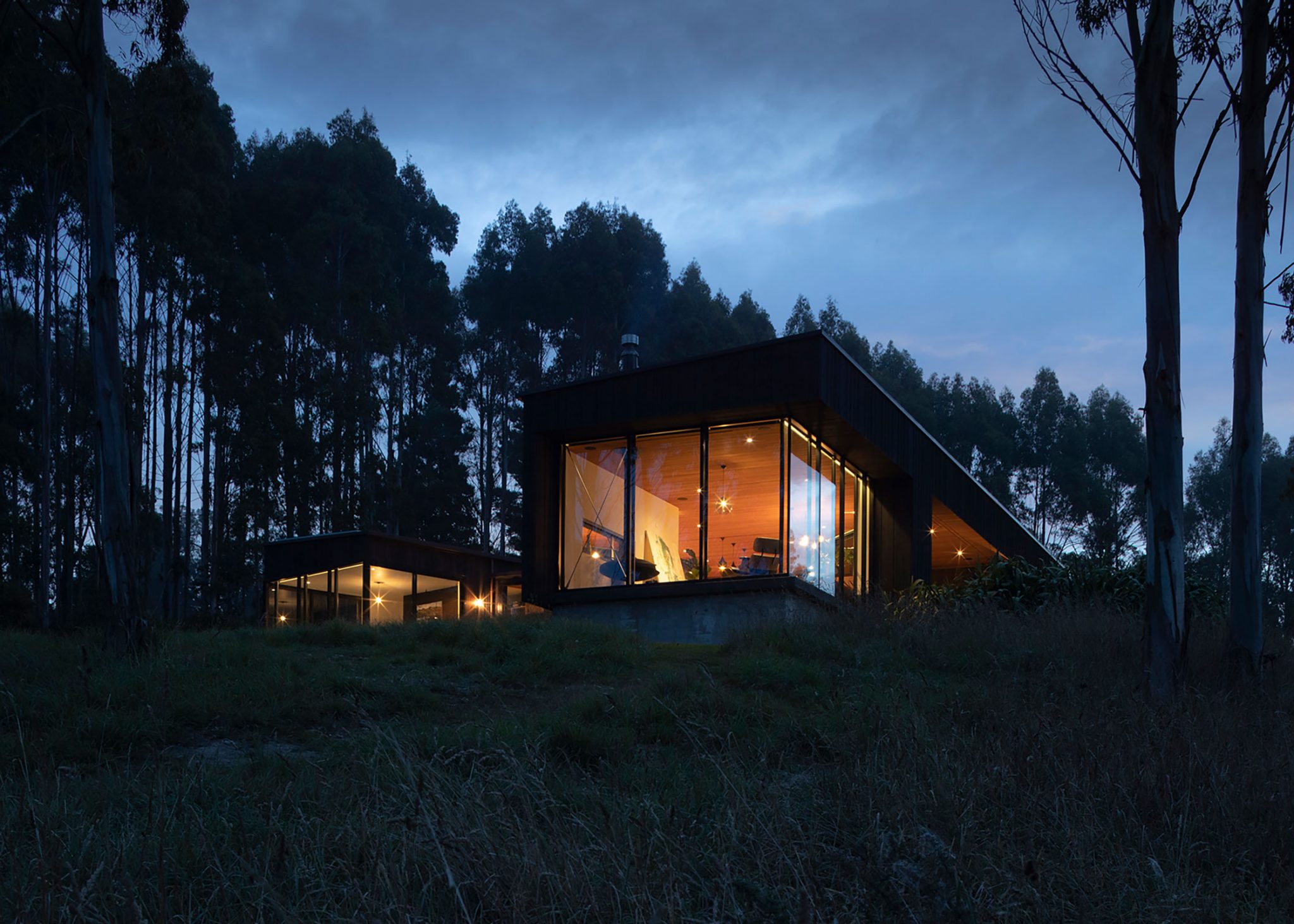Spotted Gum Tree House by Merrylees Architecture - Environment Design