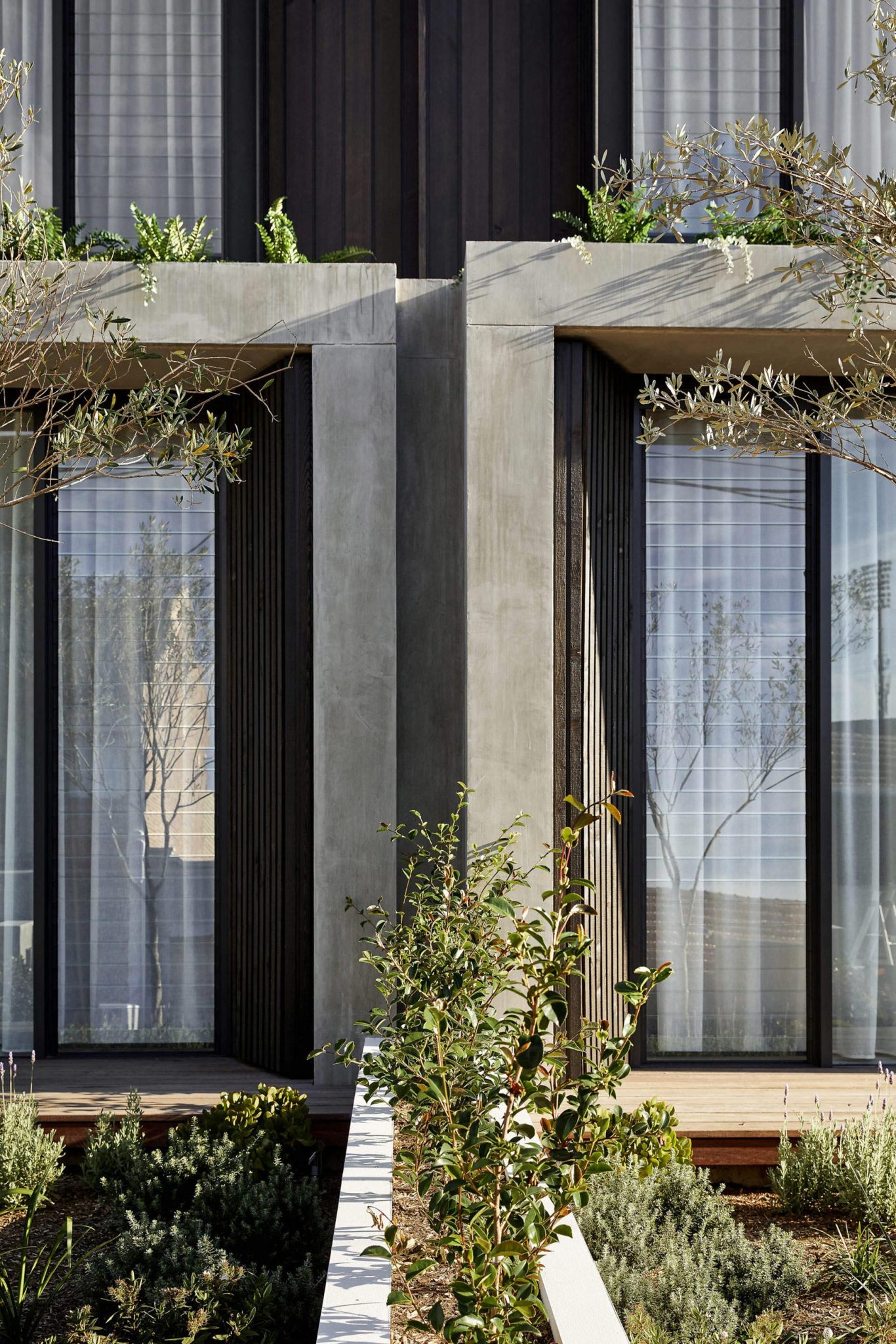 Dispersing Light by MXM Design - Project Gallery - The Local Project