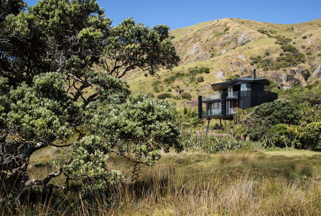 DNA House by Crosson Architects - Project Feature - The Local Project