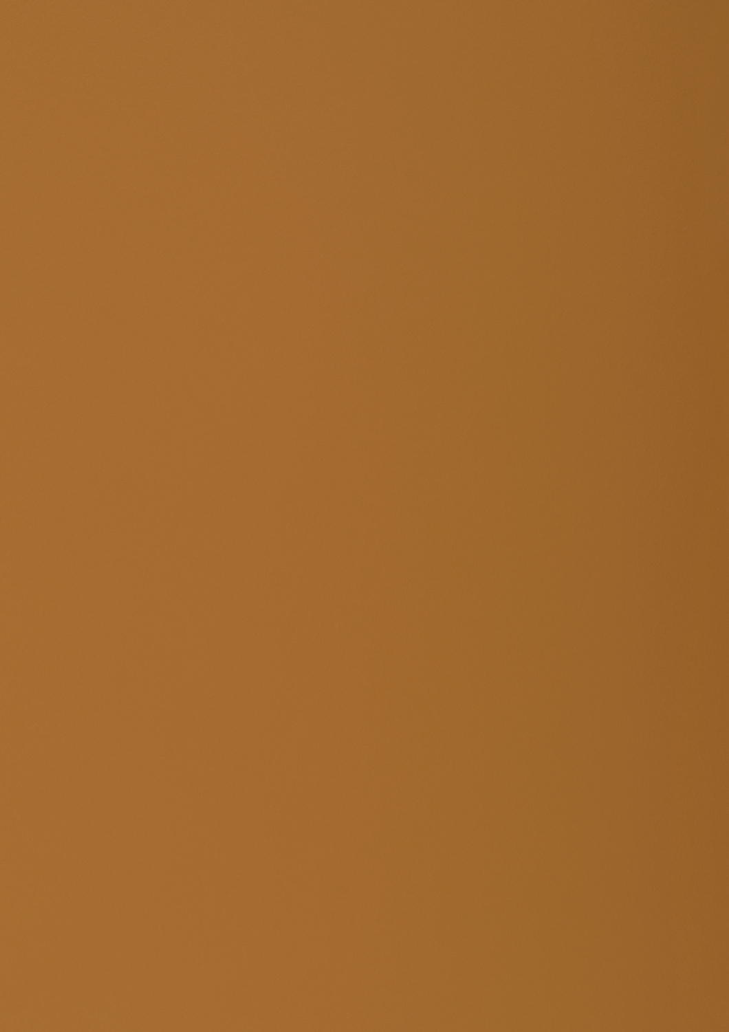 Burnt Ochre by Laminex - Product Directory - The Local Project