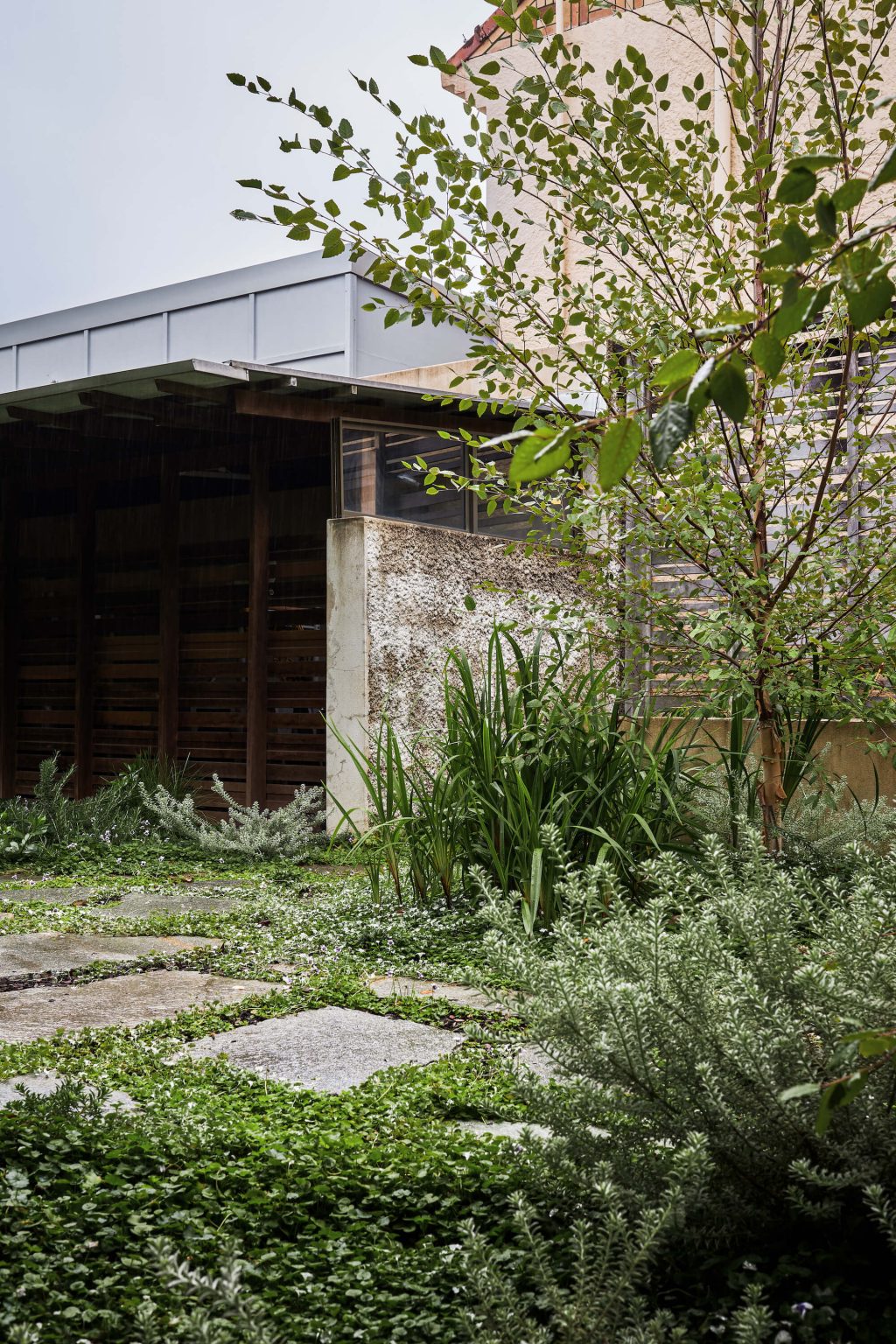 Y3 Garden by Dan Young Landscape - Project Gallery - The Local Project