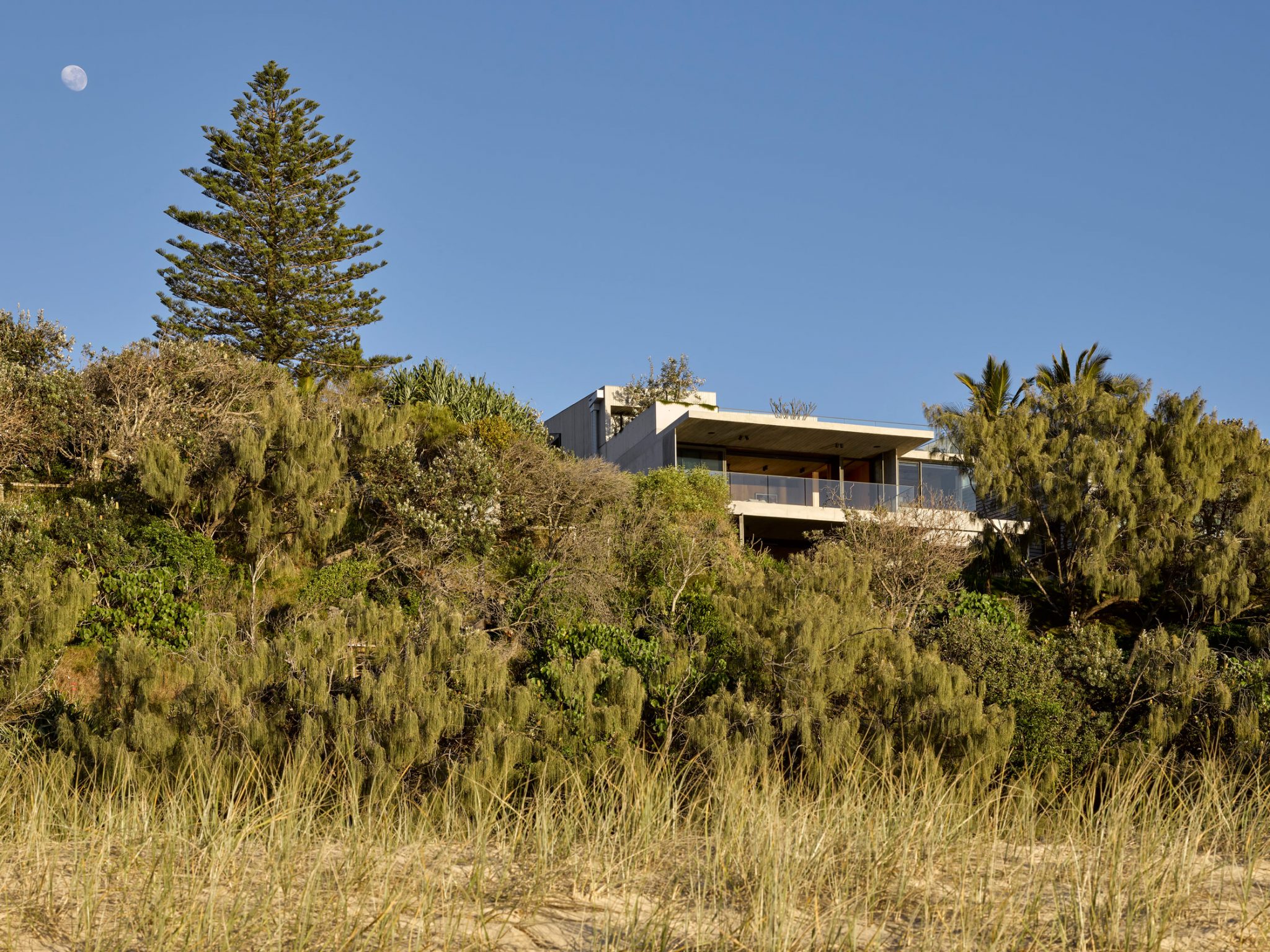 PaperBark Pod by Bark Architects - Project Feature - The Local Project ...