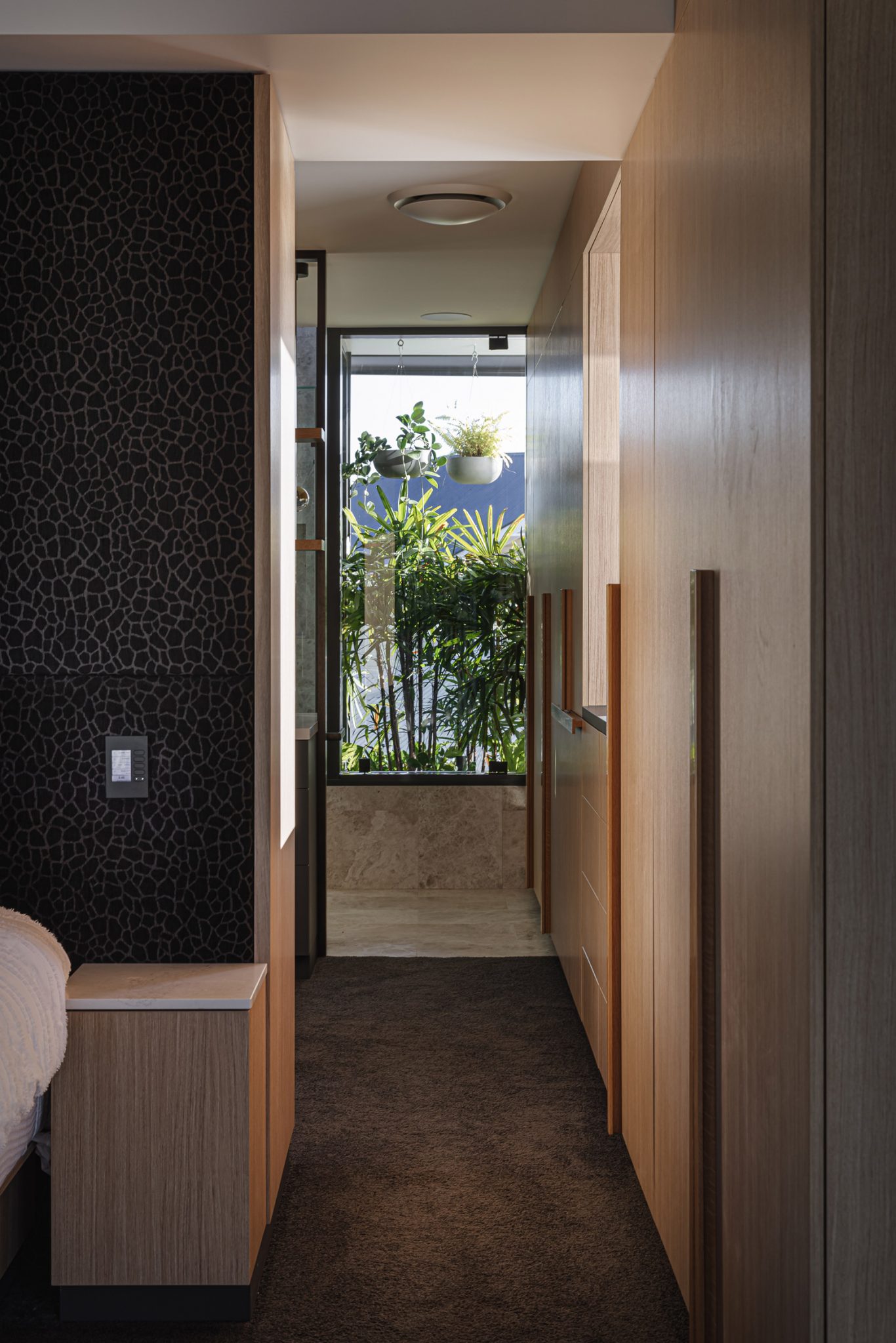 Meraki by Base Architecture, Electronic Living and Thallon Mole Group ...