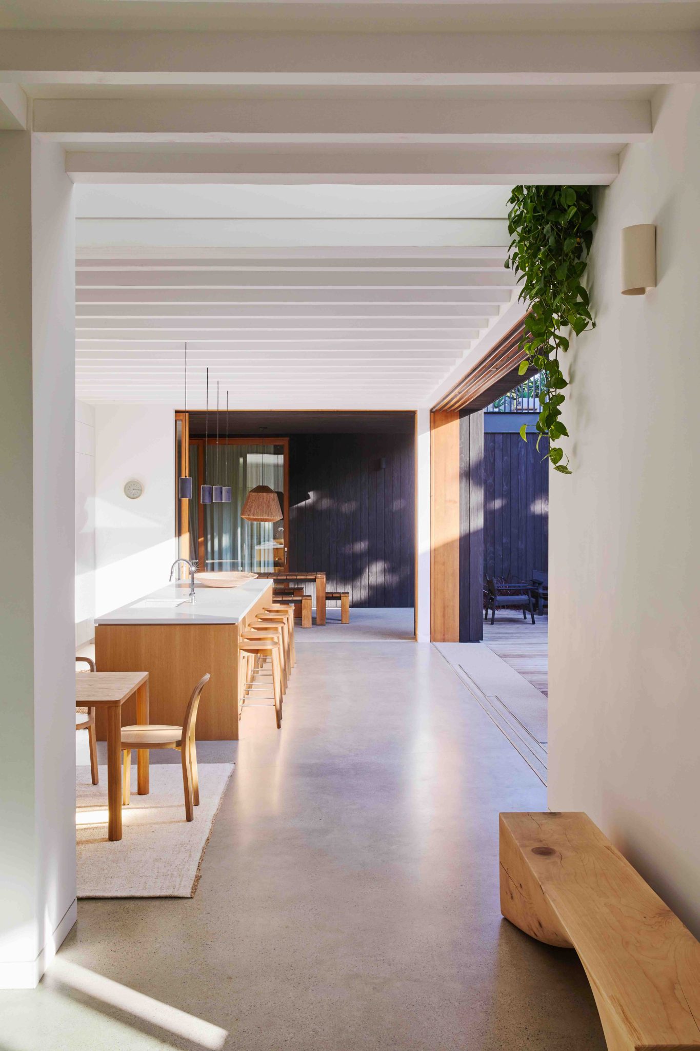 Hawksburn House by Doherty Design Studio - Project Feature - The Local ...