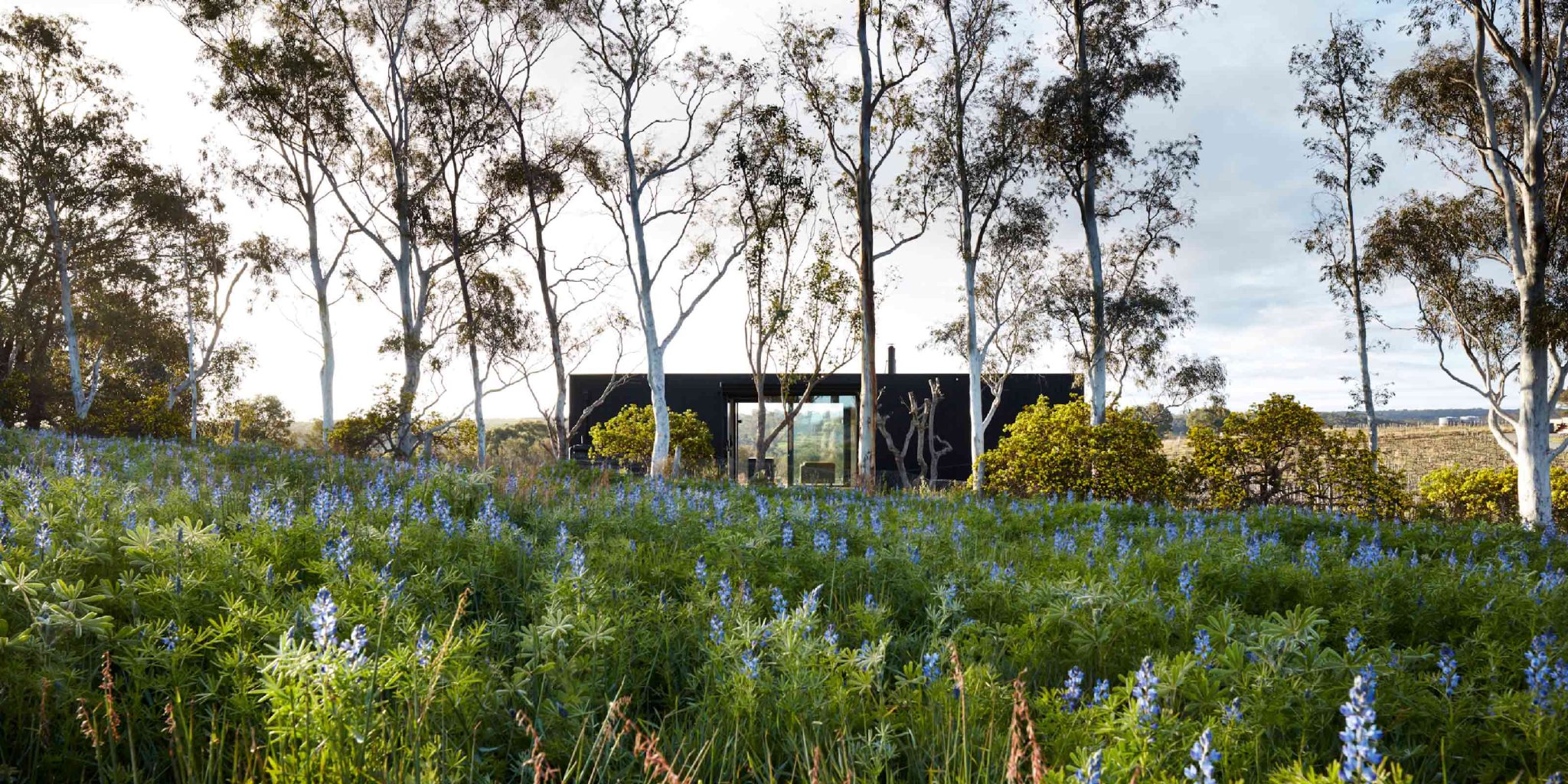 Iron Chef by Das Studio - Project Feature - The Local Project