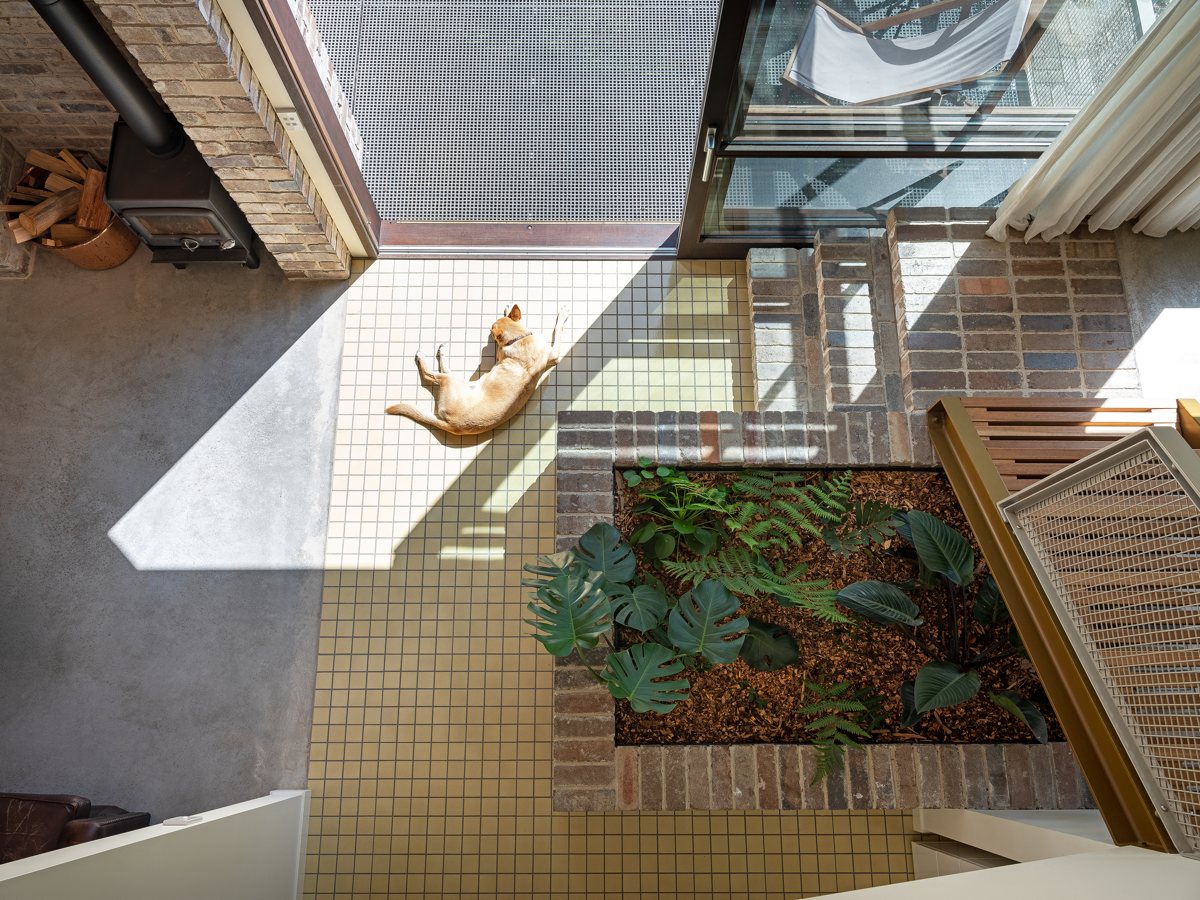 Sprout House by Barnacle Studio - Project Feature - The Local Project