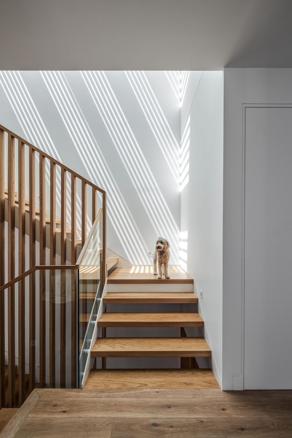 Beach House by BDA Architecture - Project Gallery - The Local Project