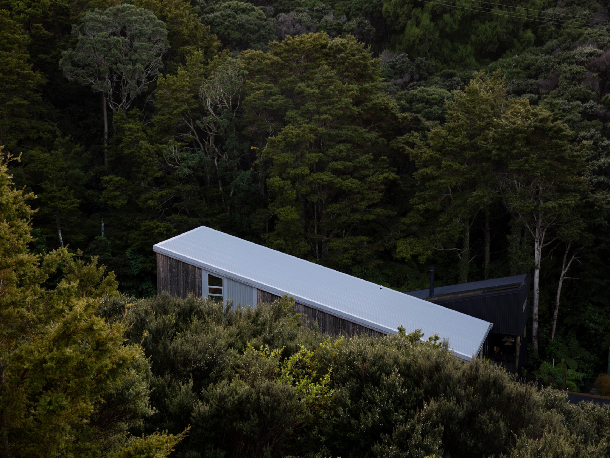 Laminex’s True to Nature Next Generation Woodgrains - Product Feature ...