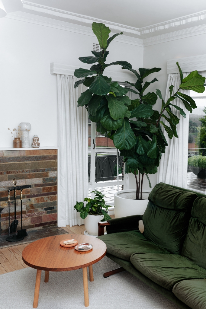 Omaroo House by Jade and Wes Roberts - Project Gallery - The Local Project