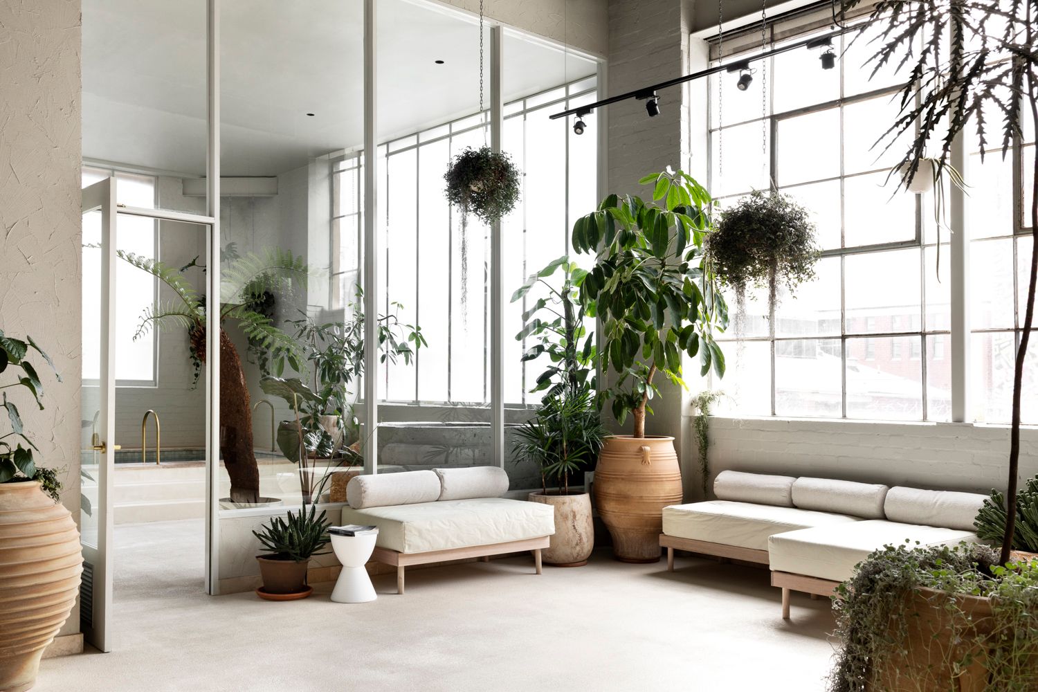 Ryan Klewer of Plant Charmer Profile - Issue 08 Feature - The Local Project