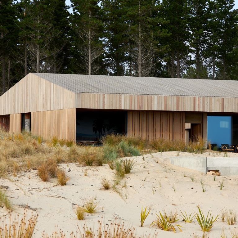 Michelle Weir - The Local Project