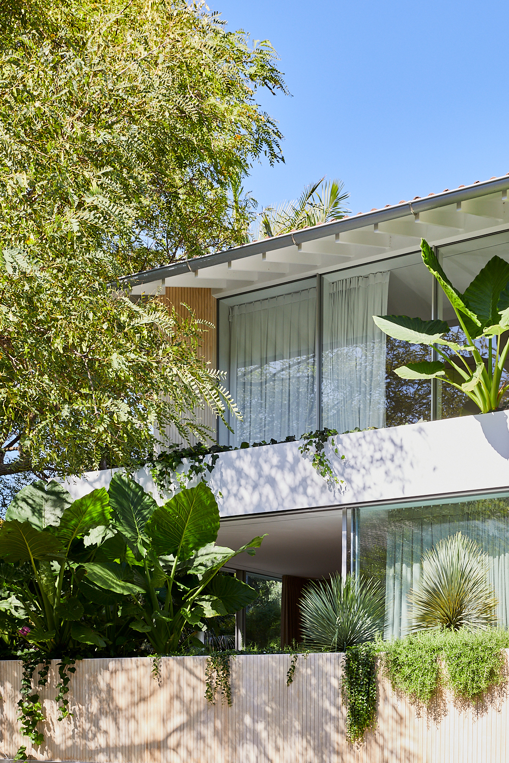 Currawong House by Olive Cooke and Henry Tervenski - Issue 08 Feature ...