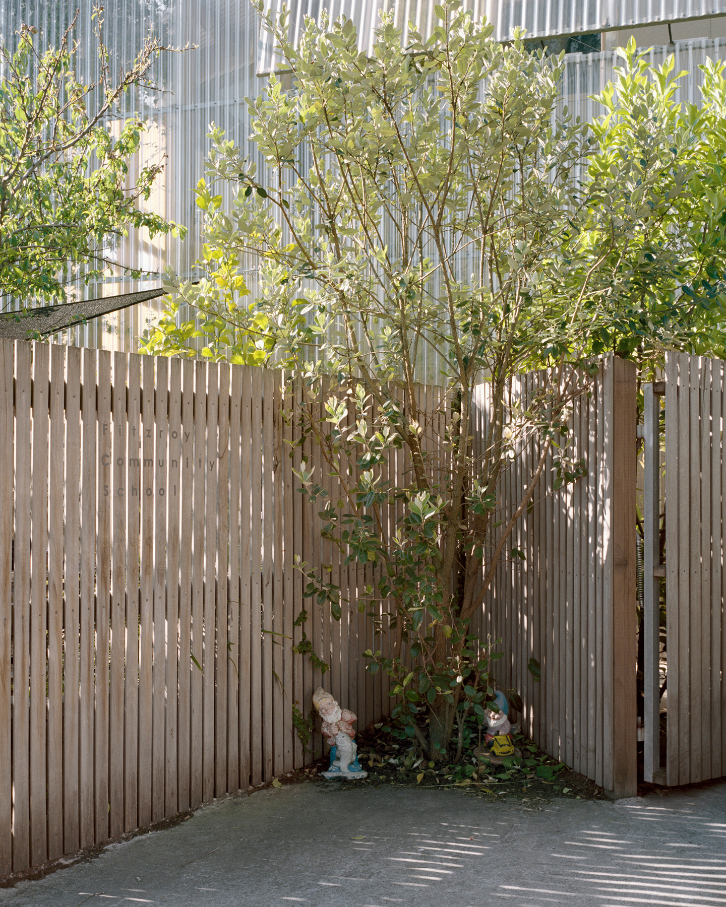Fitzroy Community School Creative Space by Baracco + Wright Architects ...