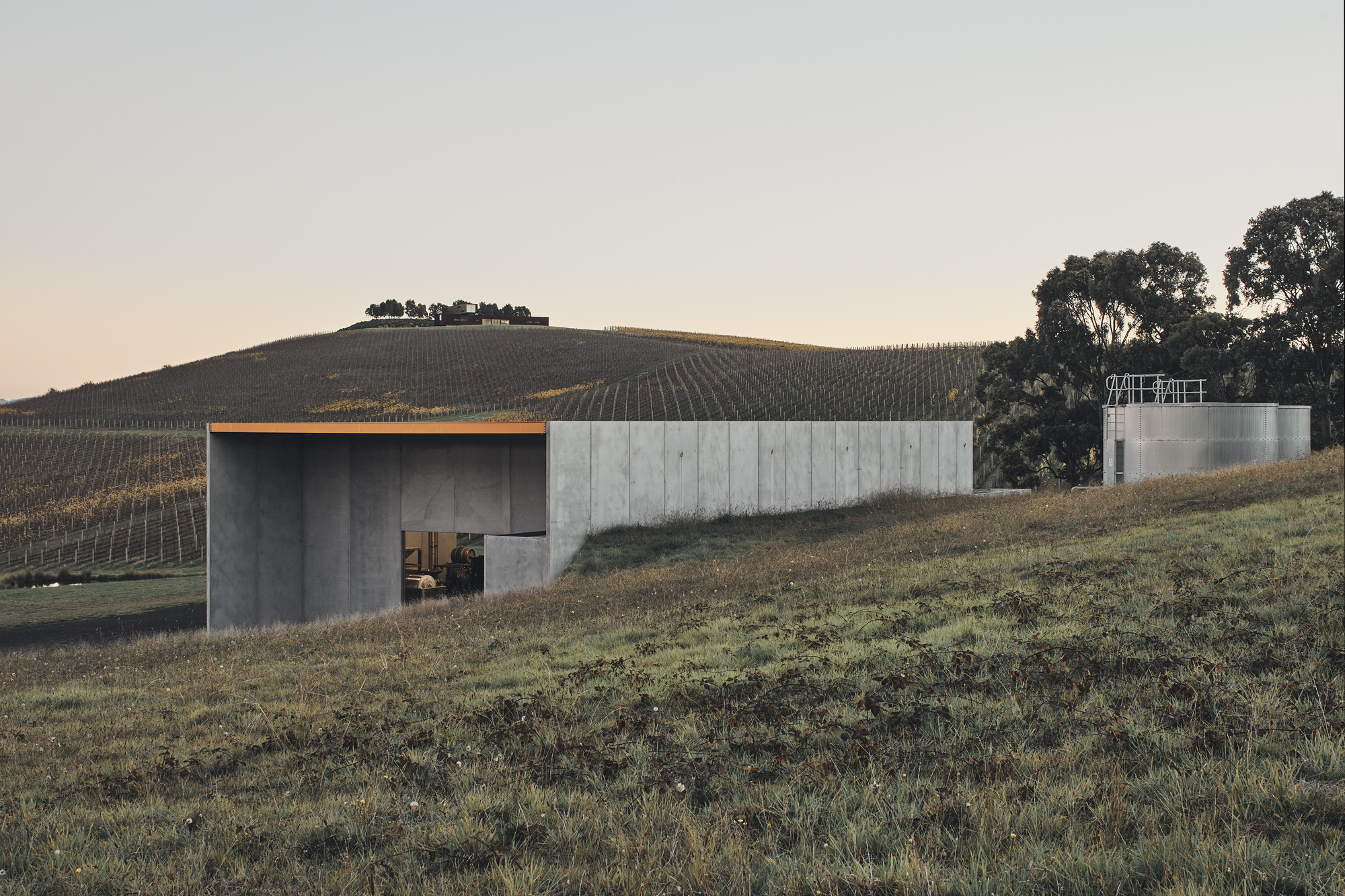 Austin Maynard Architects - Issue 09 Feature - The Local Project