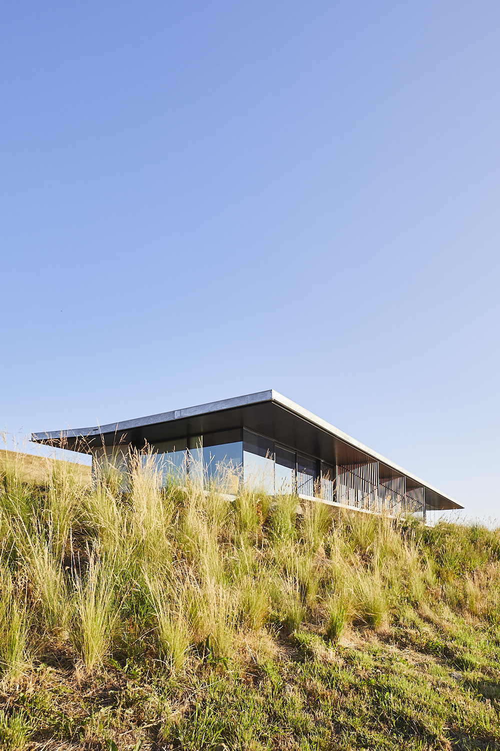 The Point by Tanner Architects - Issue 08 Feature - The Local Project