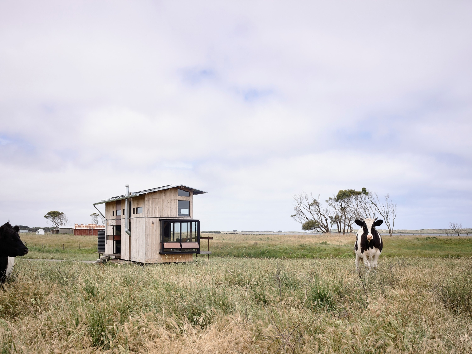 Homebush House by Wolveridge Architects - Project Feature - The Local ...
