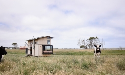 The Local Project - Architecture and Design of Australia and New Zealand