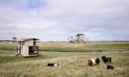 The Local Project - Architecture and Design of Australia and New Zealand