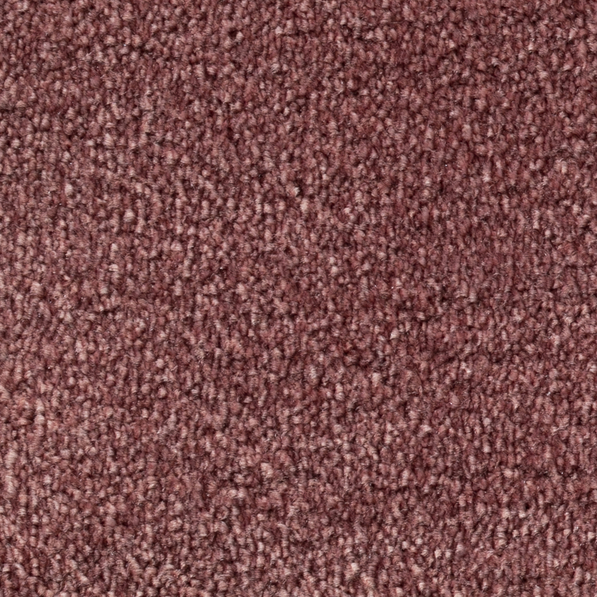 Finishes & Materials - The Local Project