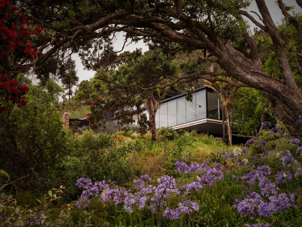 Mahuika by Daniel Marshall Architects - Video Feature - The Local Project