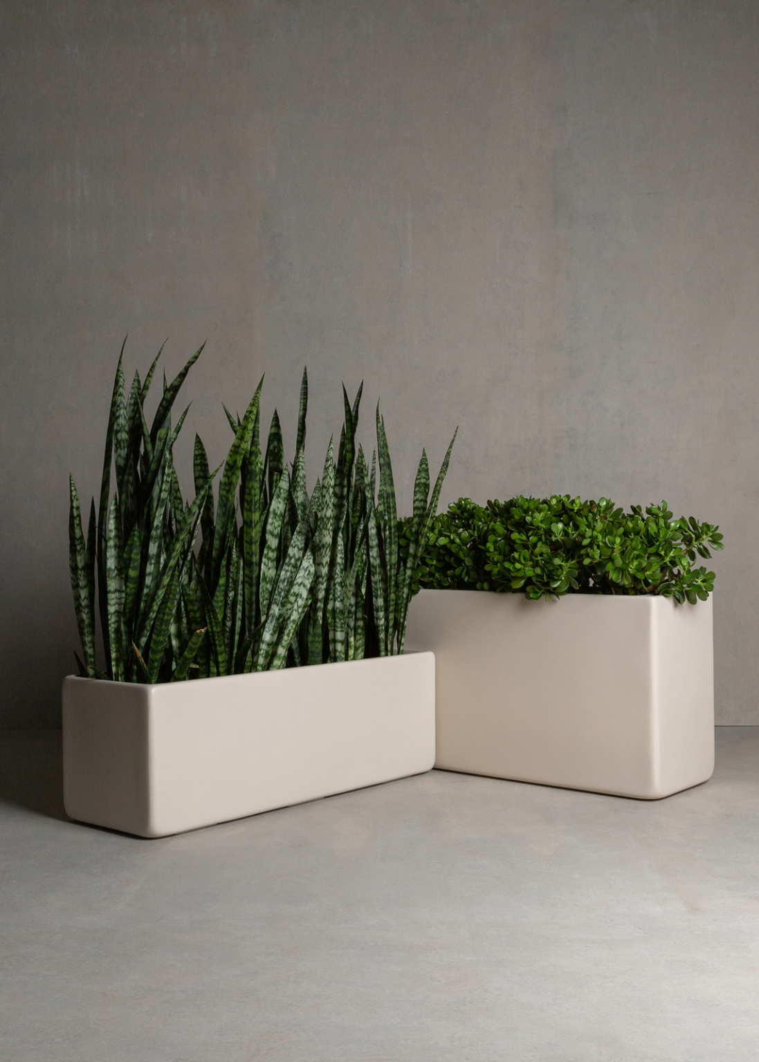 Zuster Introduces the Victoria Collection - Collection Feature - The ...