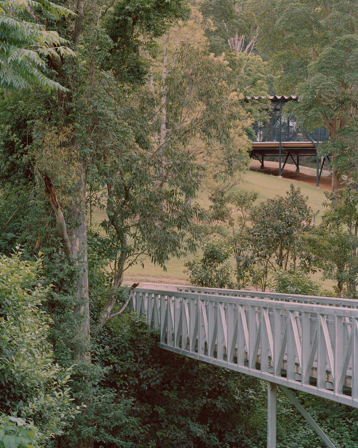 Bundanon Art Museum and Bridge by Kerstin Thompson Architects - Issue 09 Feature - The Local Project