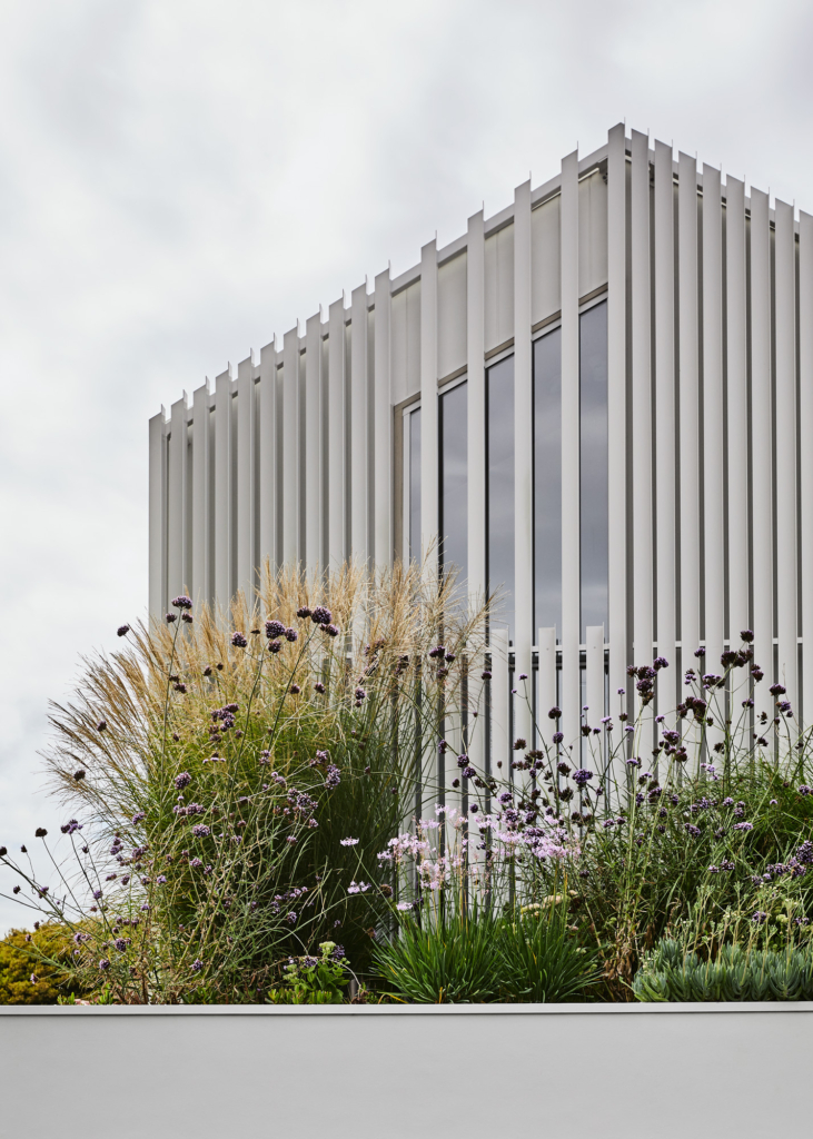Brunswick East Residence by Studio Amble - Project Feature - The Local ...