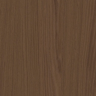 Elton Group - The Local Project