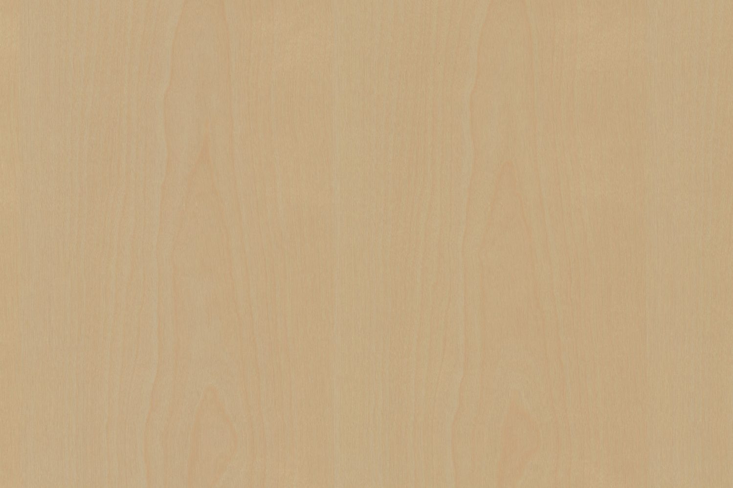 Eveneer Ravenna by Elton Group - The Local Project