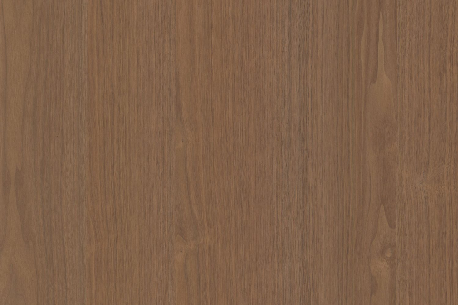 Eveneer Ravenna by Elton Group - The Local Project