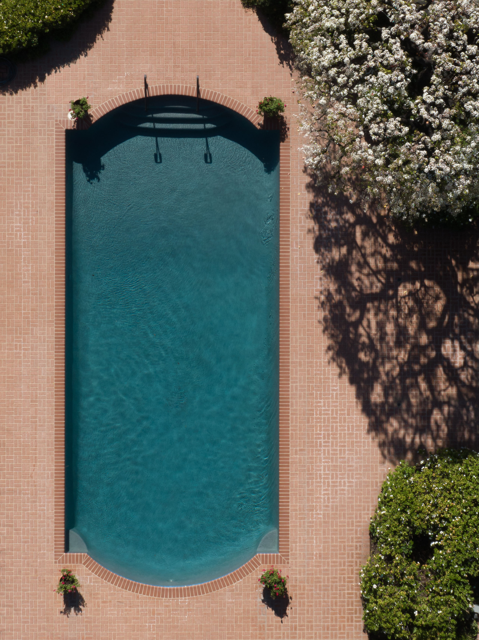 Darlinghurst Terrace by Sam Crawford Architects - Project Feature - The ...