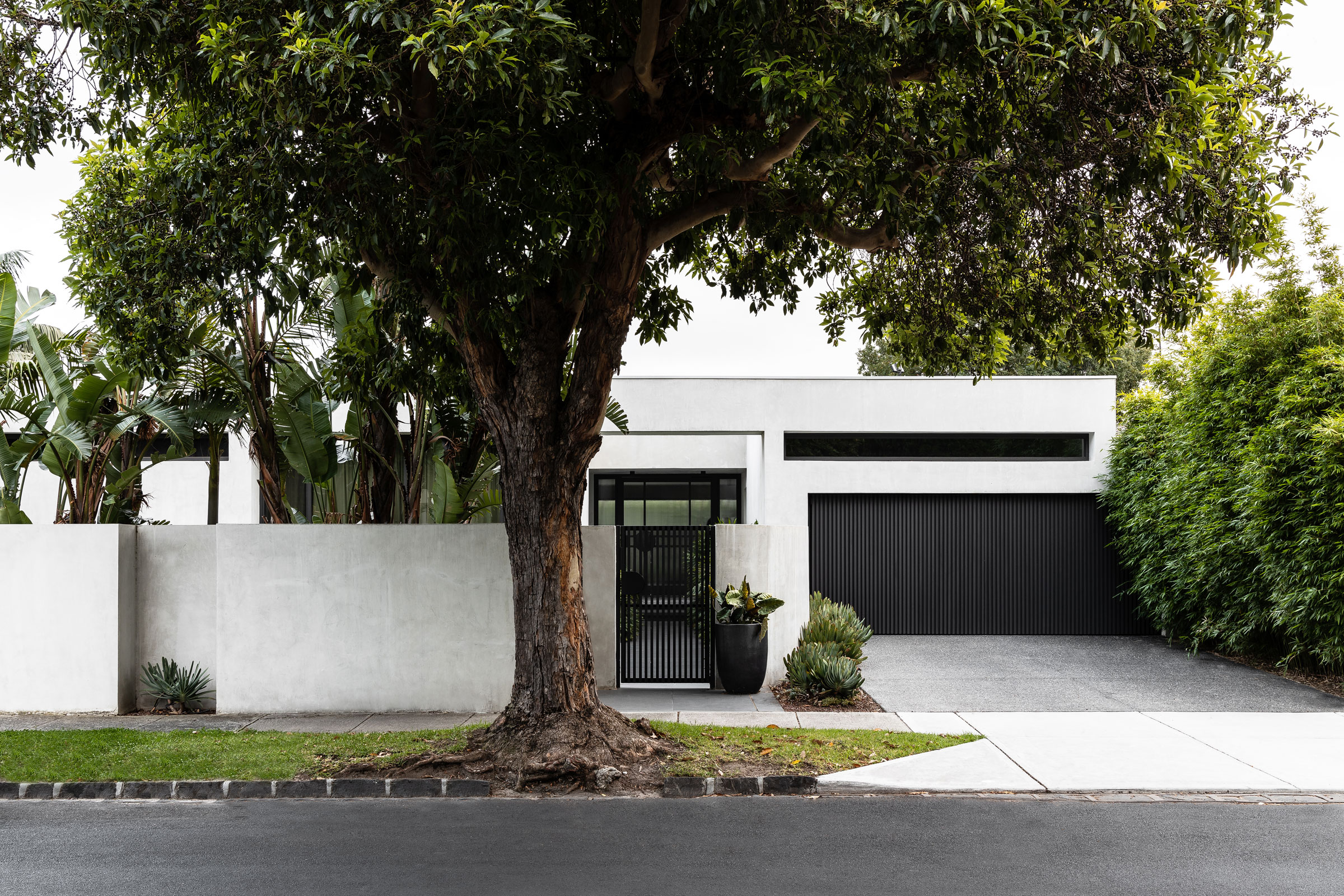 Art House by Golden - Project Feature - The Local Project