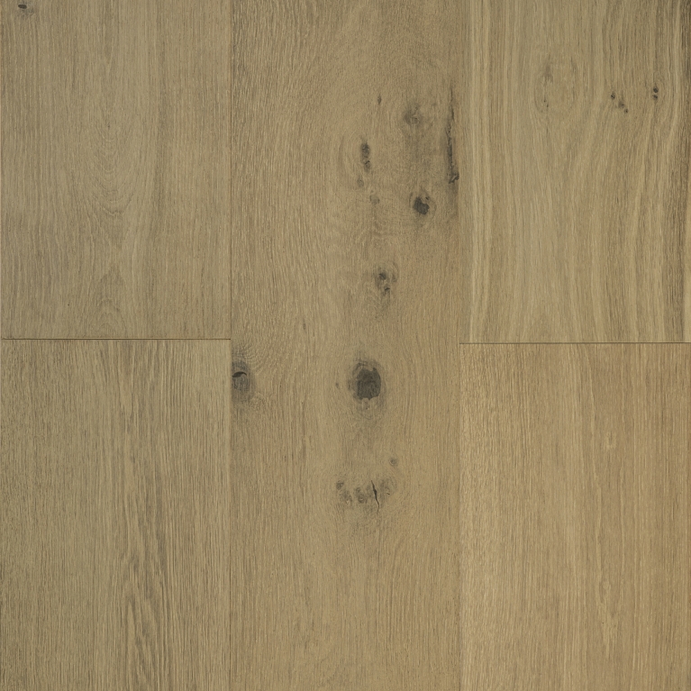 Forté | Company Profile | The Local Project