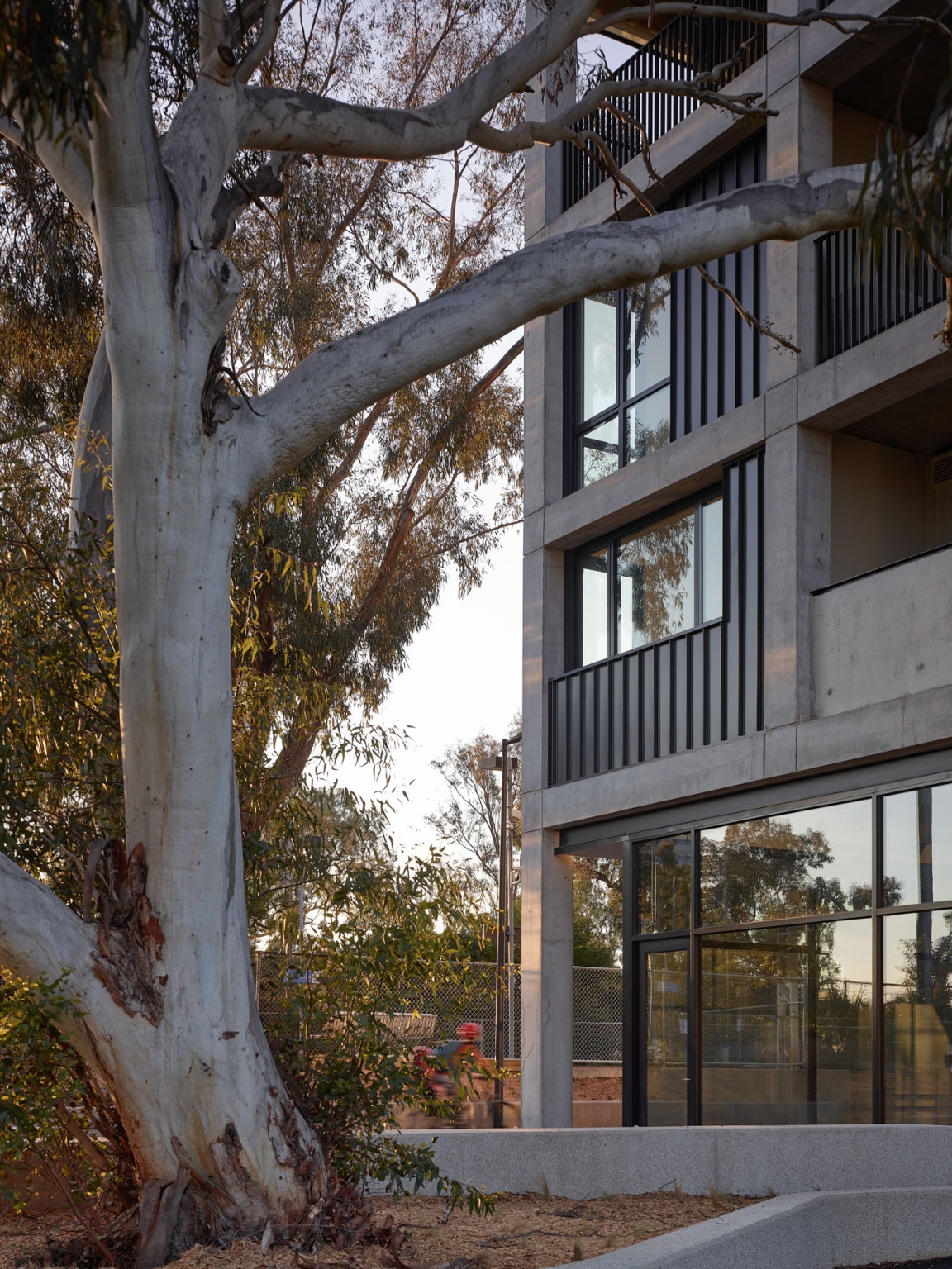 Kerr by SSdH - Issue 10 Feature - The Local Project