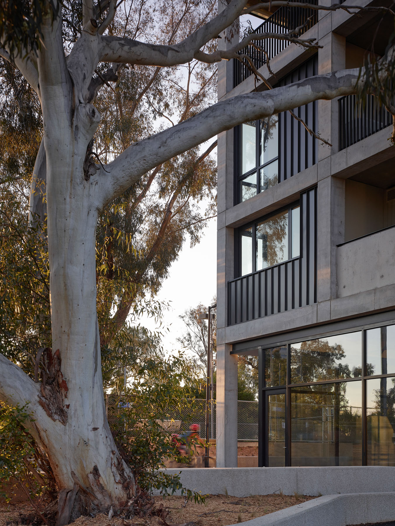 Delacombe Stadium by Kosloff Architecture - Issue 10 Commercial Feature ...