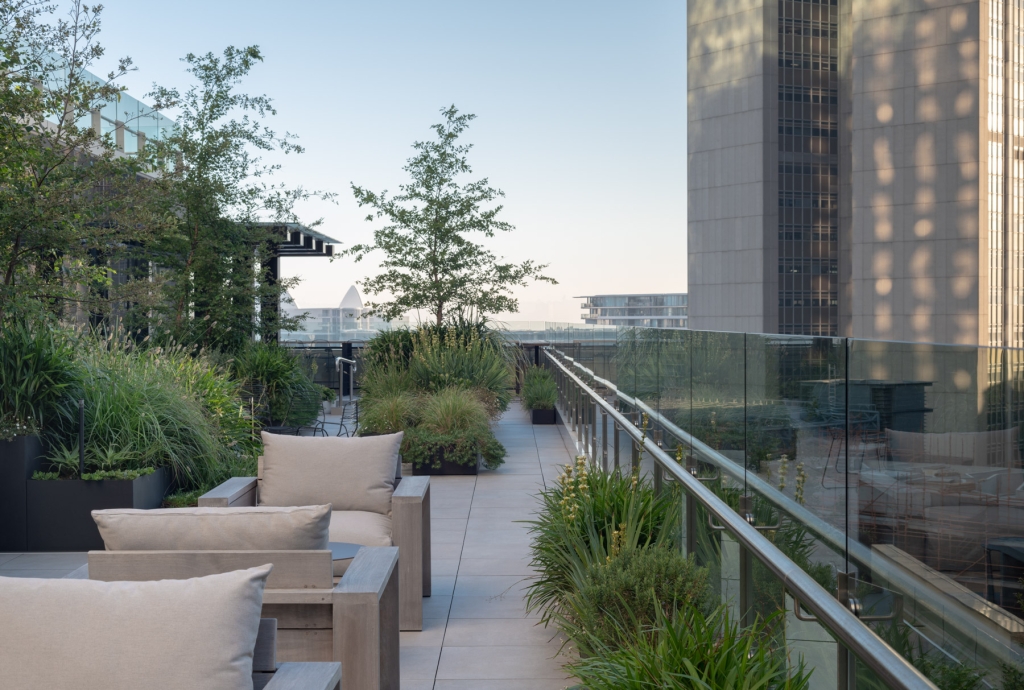 Skyline by Secret Gardens - Issue 10 Feature - The Local Project