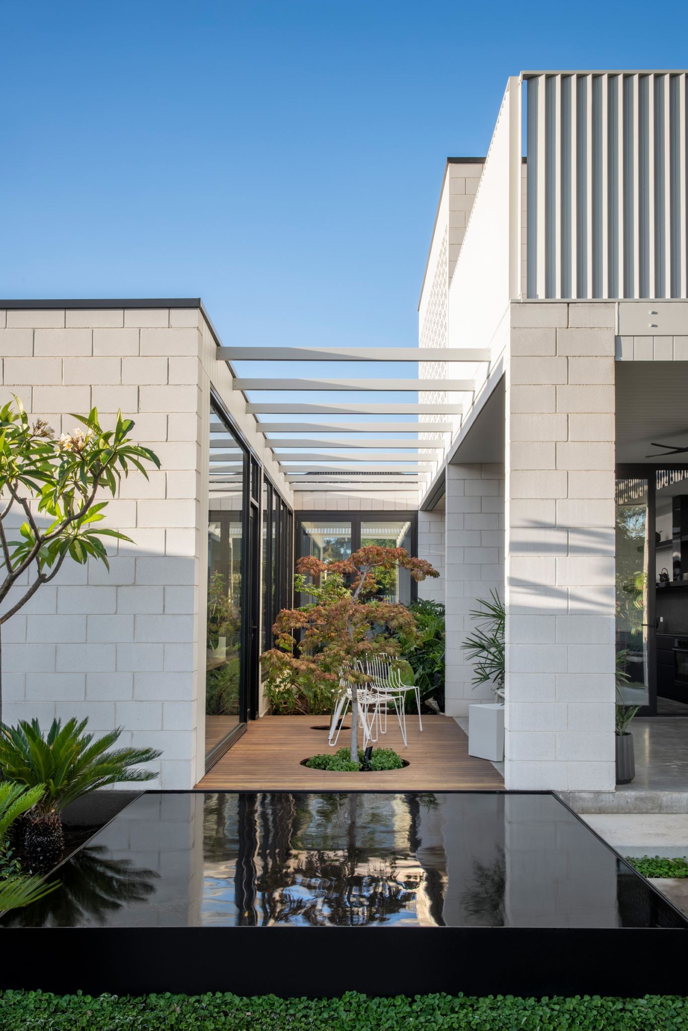 Cycad House by RADS - Project Feature - The Local Project